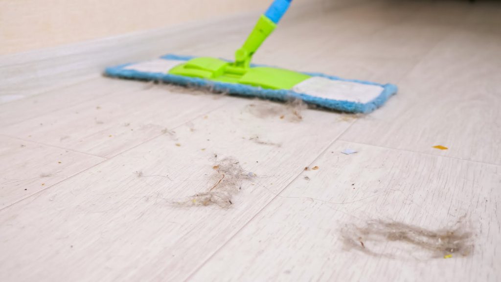 7 conseils pour se débarrasser de la poussière dans votre maison ...